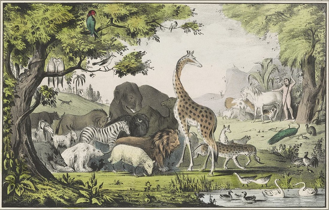 Creation Day 6: Animals and Humans – Wittenberg Academy